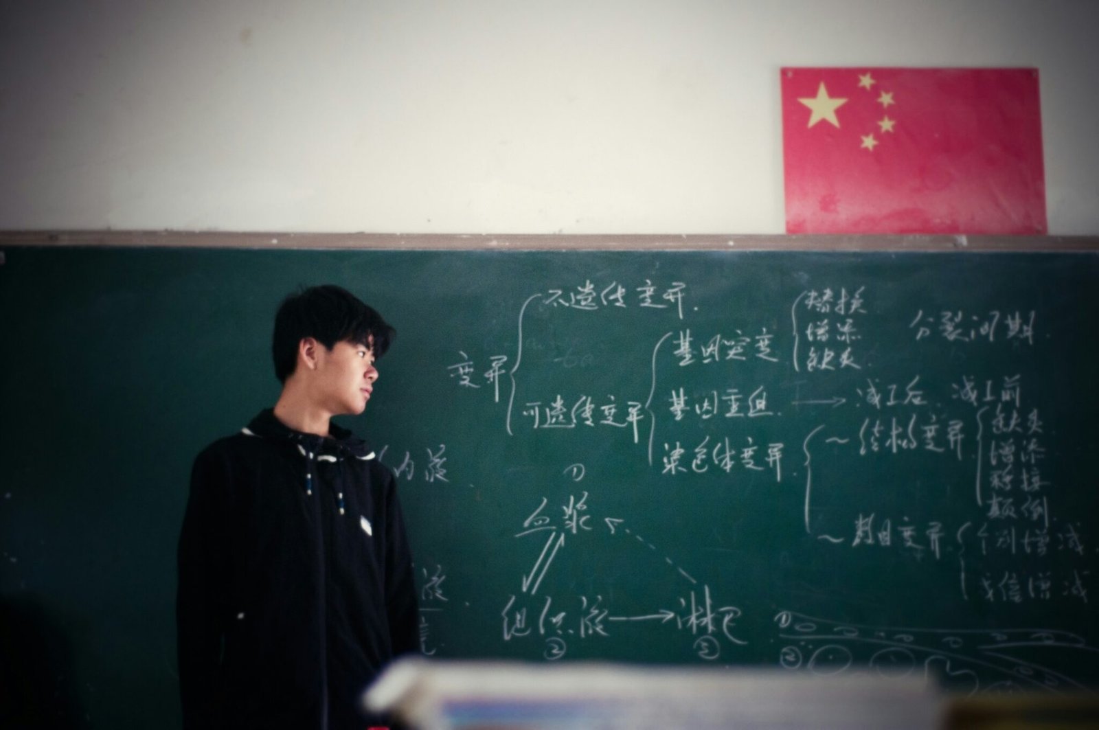 gochinese.io